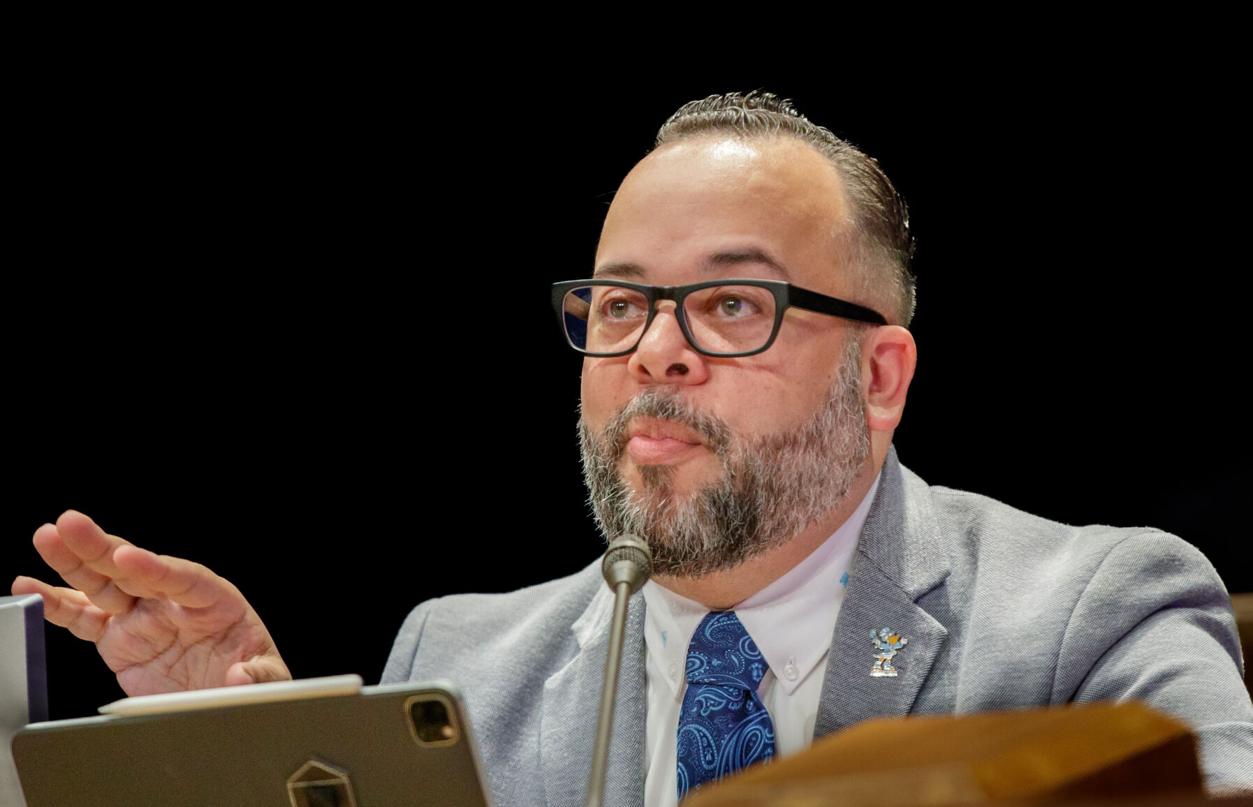 New Orleans at-large div. 2 candidates talk cultural policy | Politics ...