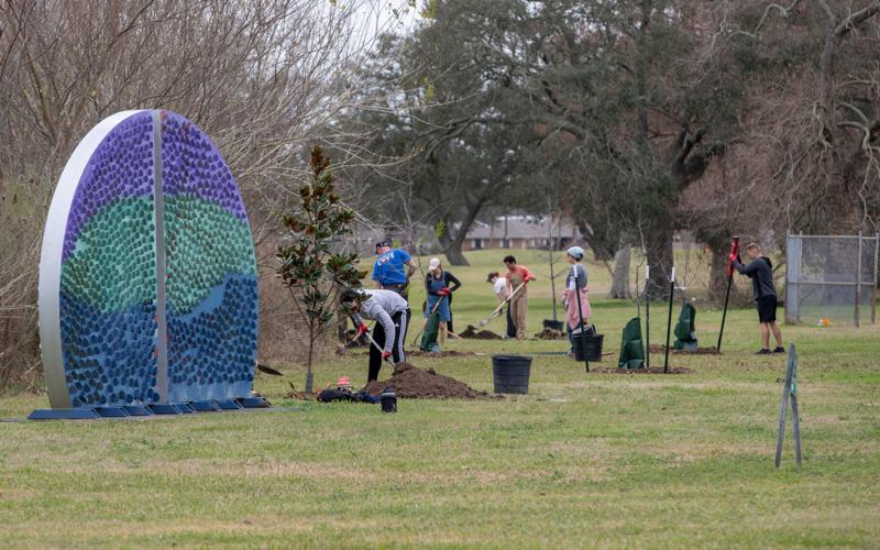 New Orleans tree planting efforts fall short of other cities ...