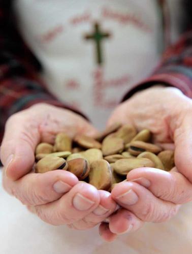 Fava bean recipes: These peas are not just for St. Joseph altars ...