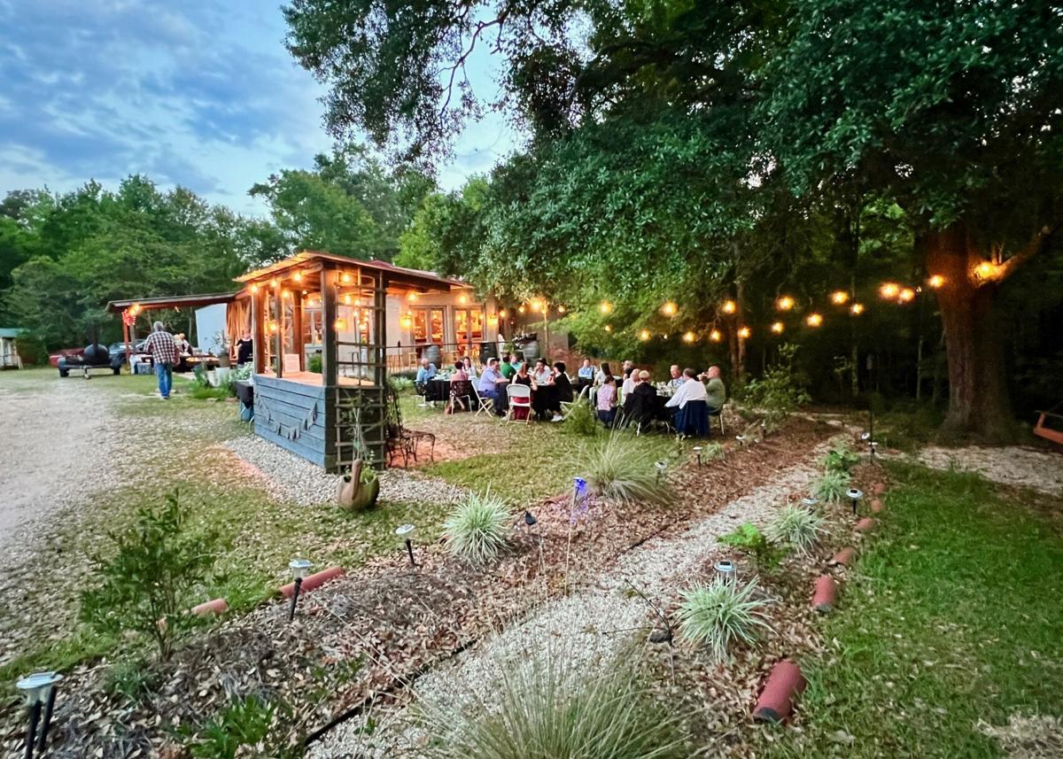 Wild Bush vineyard out to change what Louisiana wine can be | Where ...