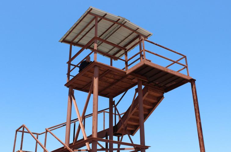 Angola Prison Rodeo, Treme Culture Fest, Satsuma Celebration and more ...