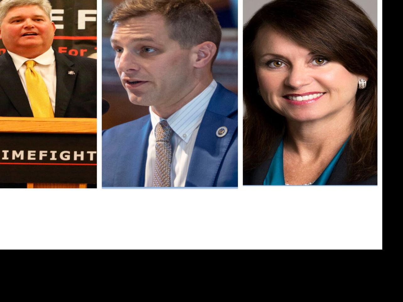 Liz Murrill has raised the most money in the AG campaign | Local ...