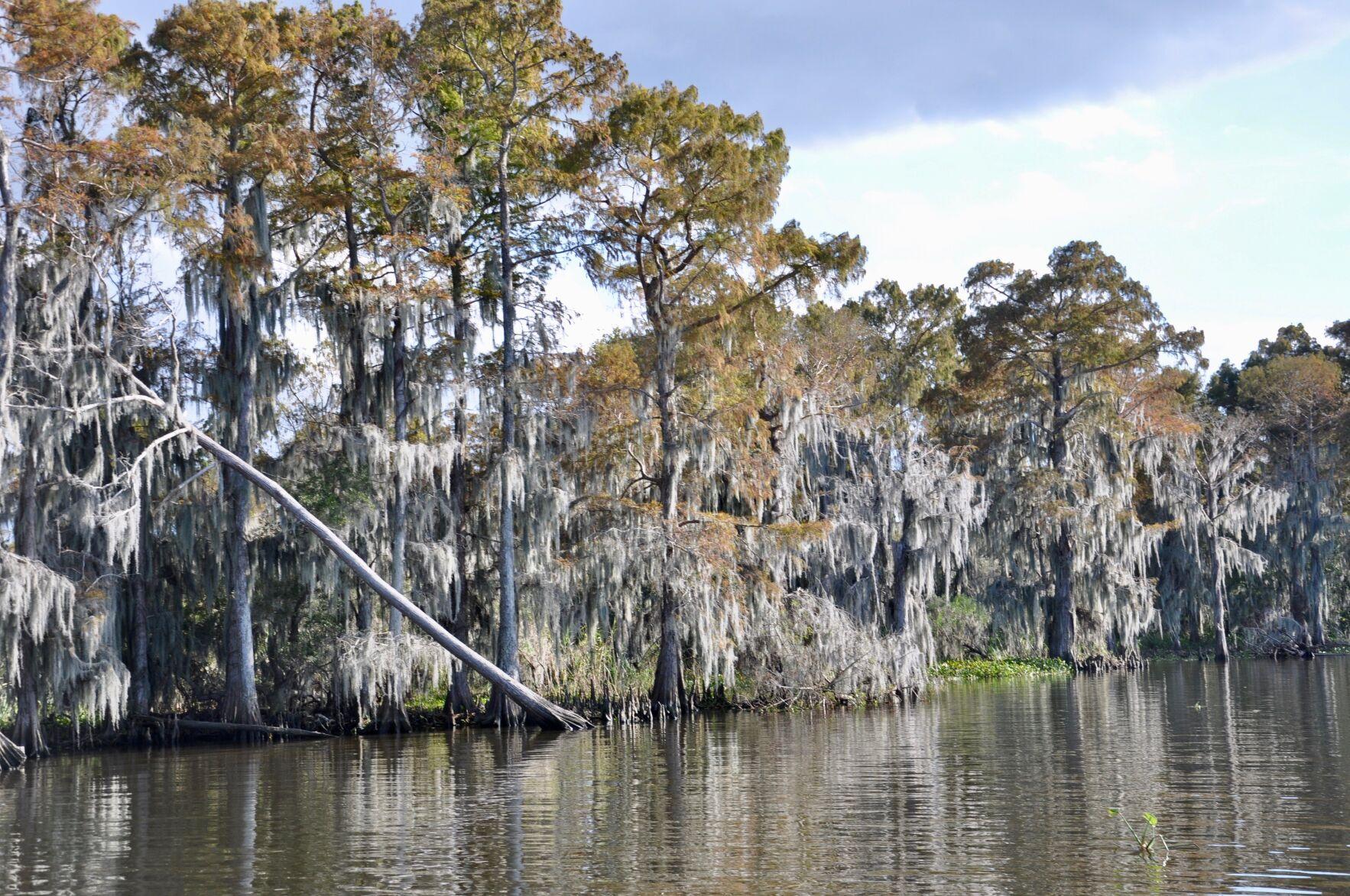Jean Lafitte offers authentic Louisiana experience to visitors of all ...