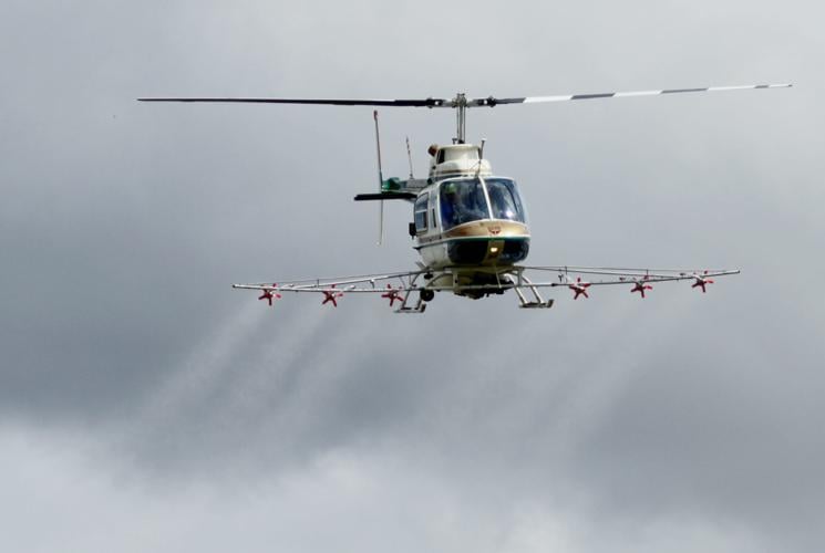 St. Tammany to step up war on mosquitoes with new helicopter assaults ...