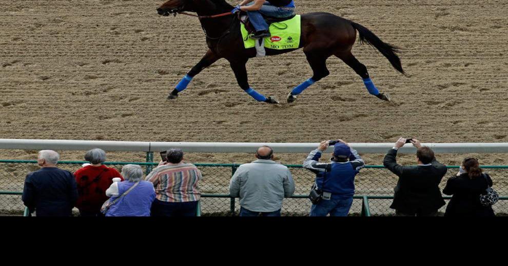 Trainer Tom Amoss understands skepticism regarding Mo Tom, ‘the best 3 ...