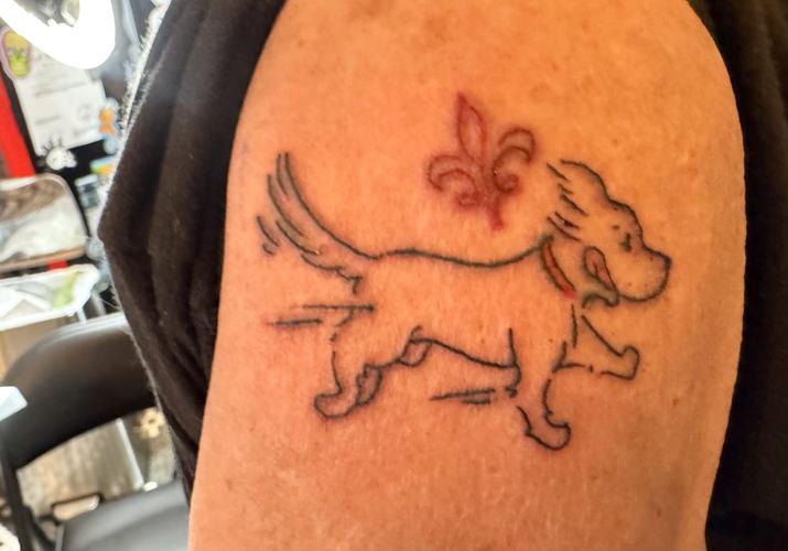 Scrim, the runaway dog, is alive -- spotted in Mid-City | Entertainment ...