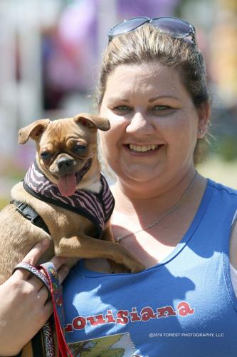 Spring Fling Pet Fest all about the fun, and raising awareness ...