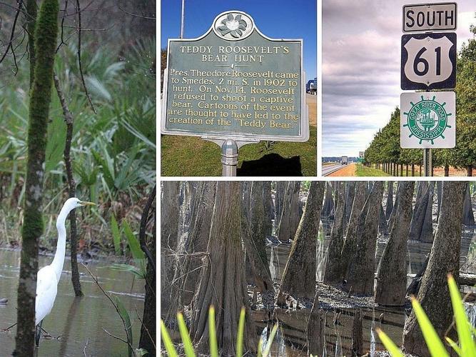 Did the legend of the Teddy Bear originate in Louisiana? | Curious ...