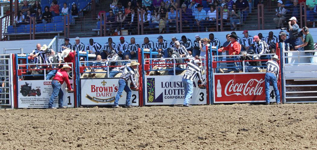 Angola Prison Rodeo, Treme Culture Fest, Satsuma Celebration and more ...