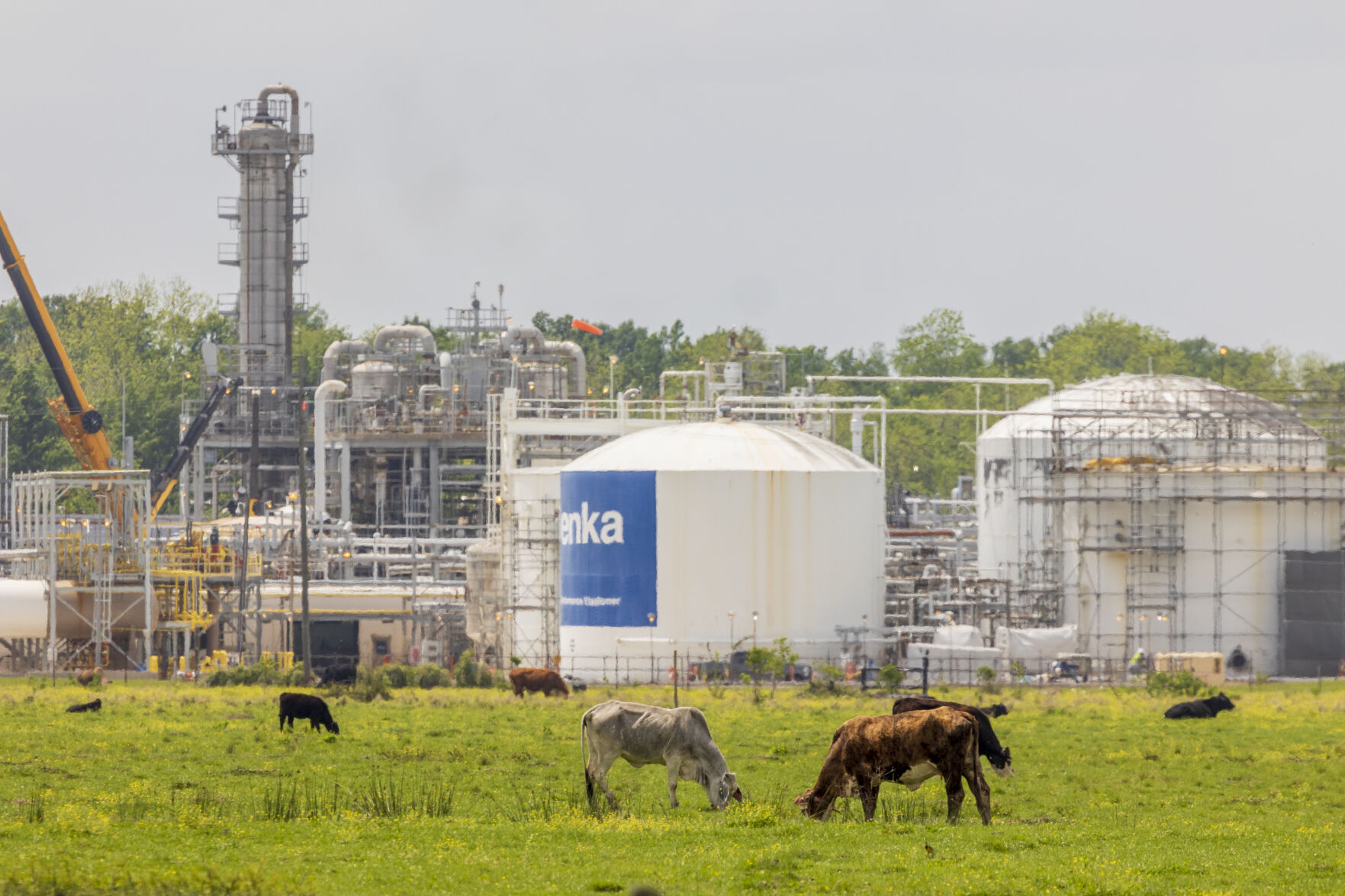 Trump team drops lawsuit against Louisiana chemical facility ...
