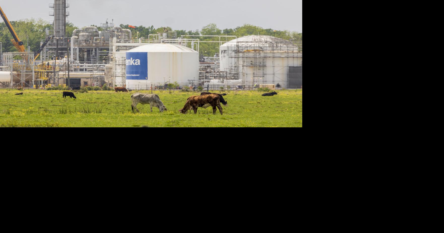 Trump team drops lawsuit against Louisiana chemical facility ...