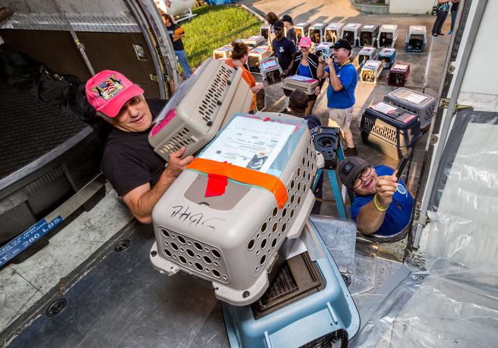 Photos: Best images from The Advocate Staff for Sept. 2017 | Photos ...