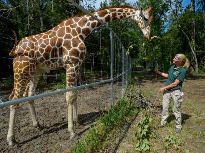 At Audubon's Algiers campus, a modern-day ark for vulnerable species ...