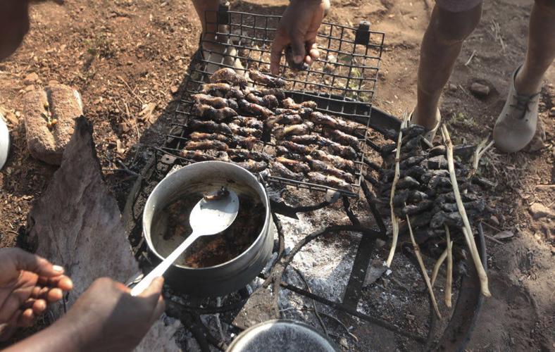 Eating mice, a delicacy in Zimbabwe, or a sign of poverty? | Where NOLA ...