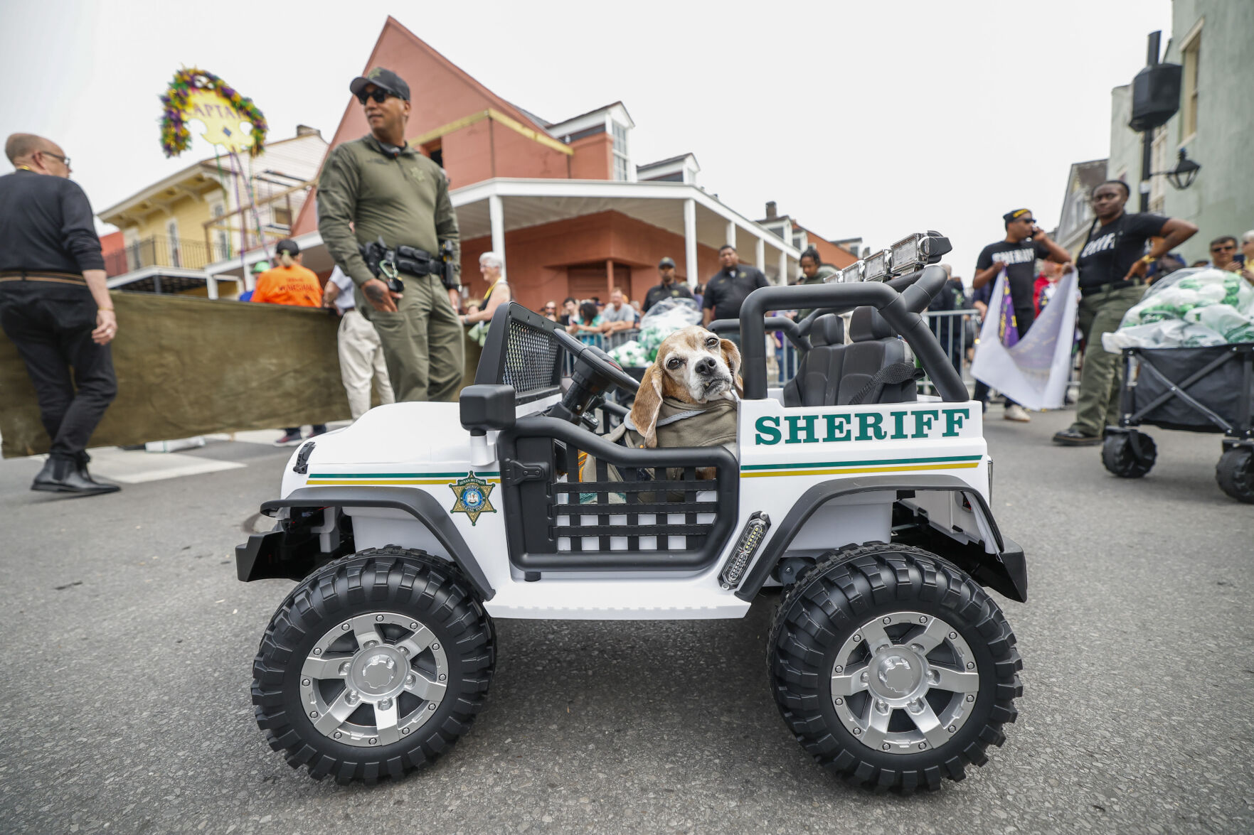 Photos: Mystic Krewe of Barkus trots in the French Quarter | Mardi Gras ...