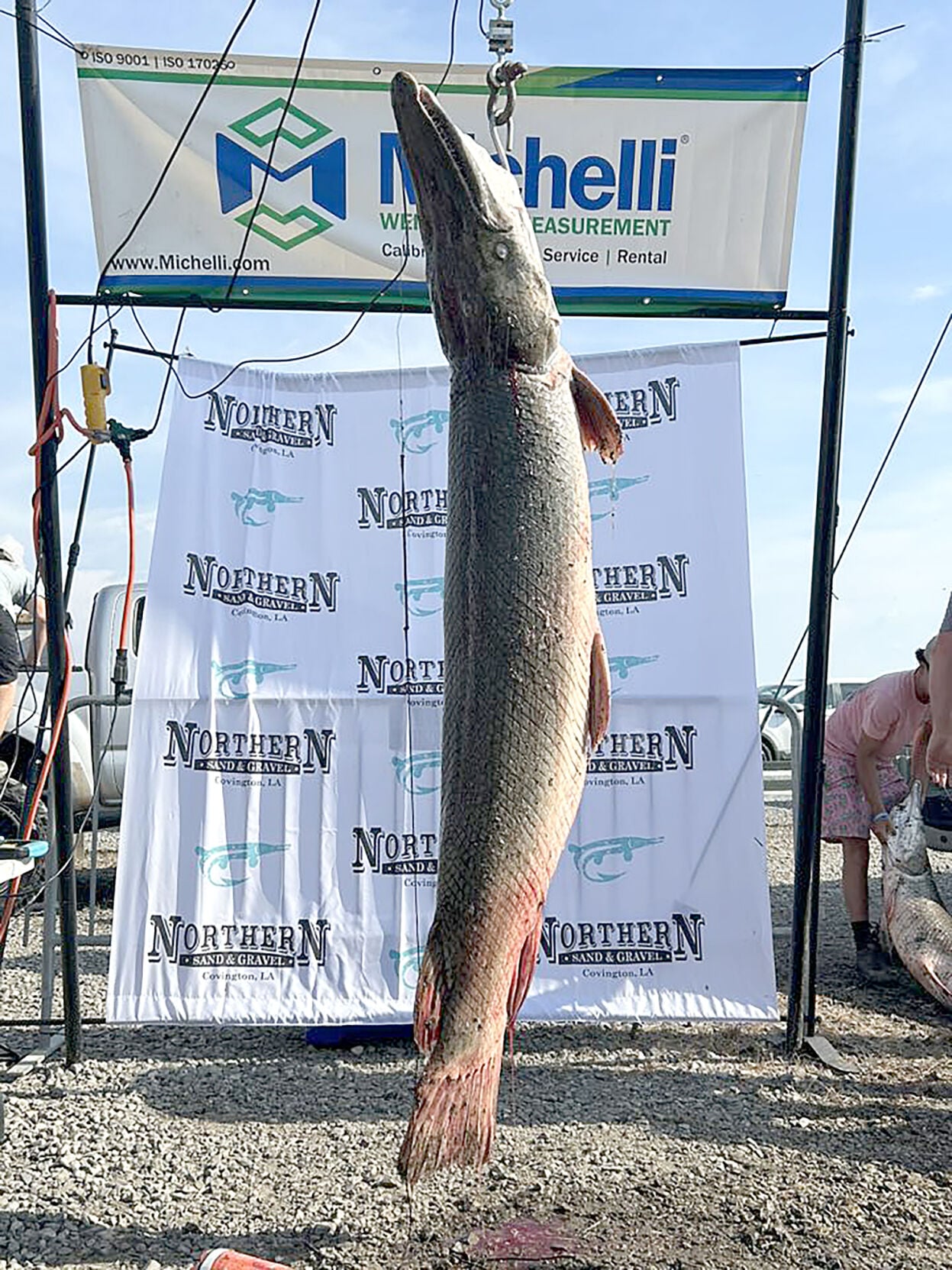 New record set at the 49th annual Madisonville Gar Rodeo | St. Tammany ...
