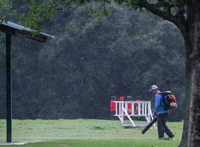 Too much rain can hurt gardens. Here's what to watch for. | Home/Garden ...