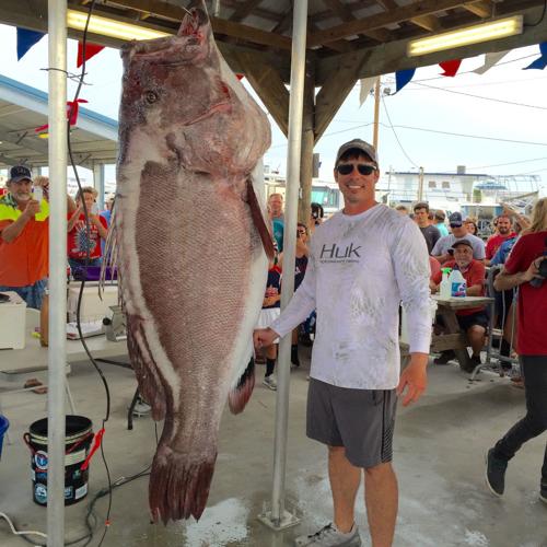 tarpon record louisiana