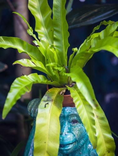 Hidden Esplanade garden of landscape architect Rene Fransen is lush in ...