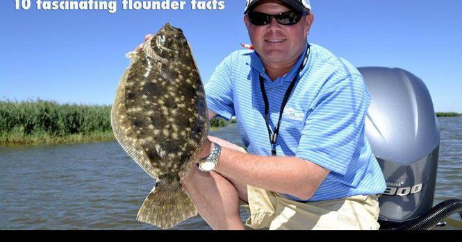 10 fascinating flounder facts | Sports | nola.com