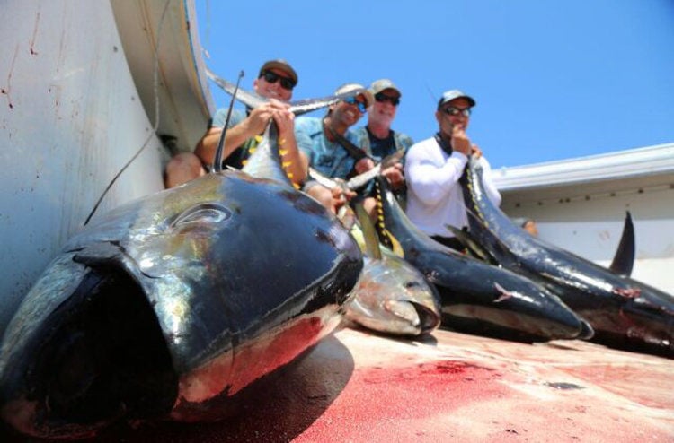 Big, bad yellowfin tuna close to Louisiana coast | Sports | nola.com