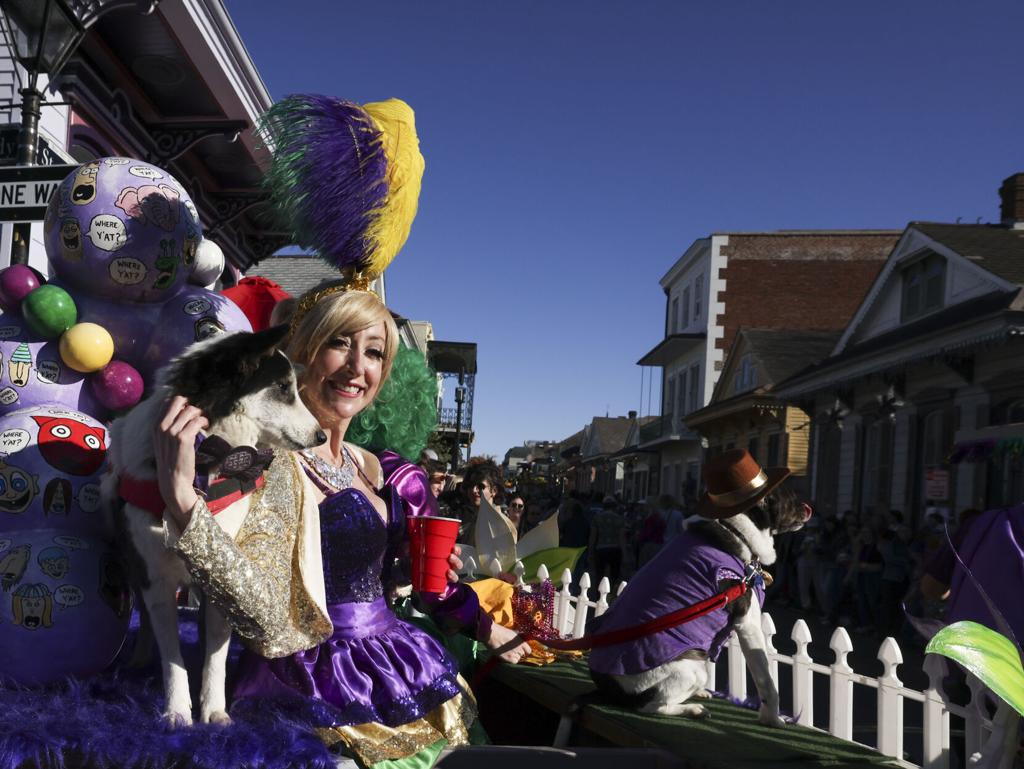 krewe of barkus mckinney
