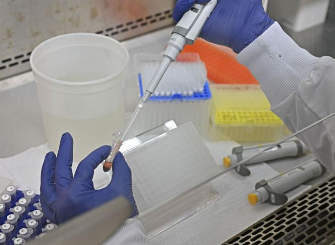 Meet the team testing Louisiana mosquito pools for West Nile ...