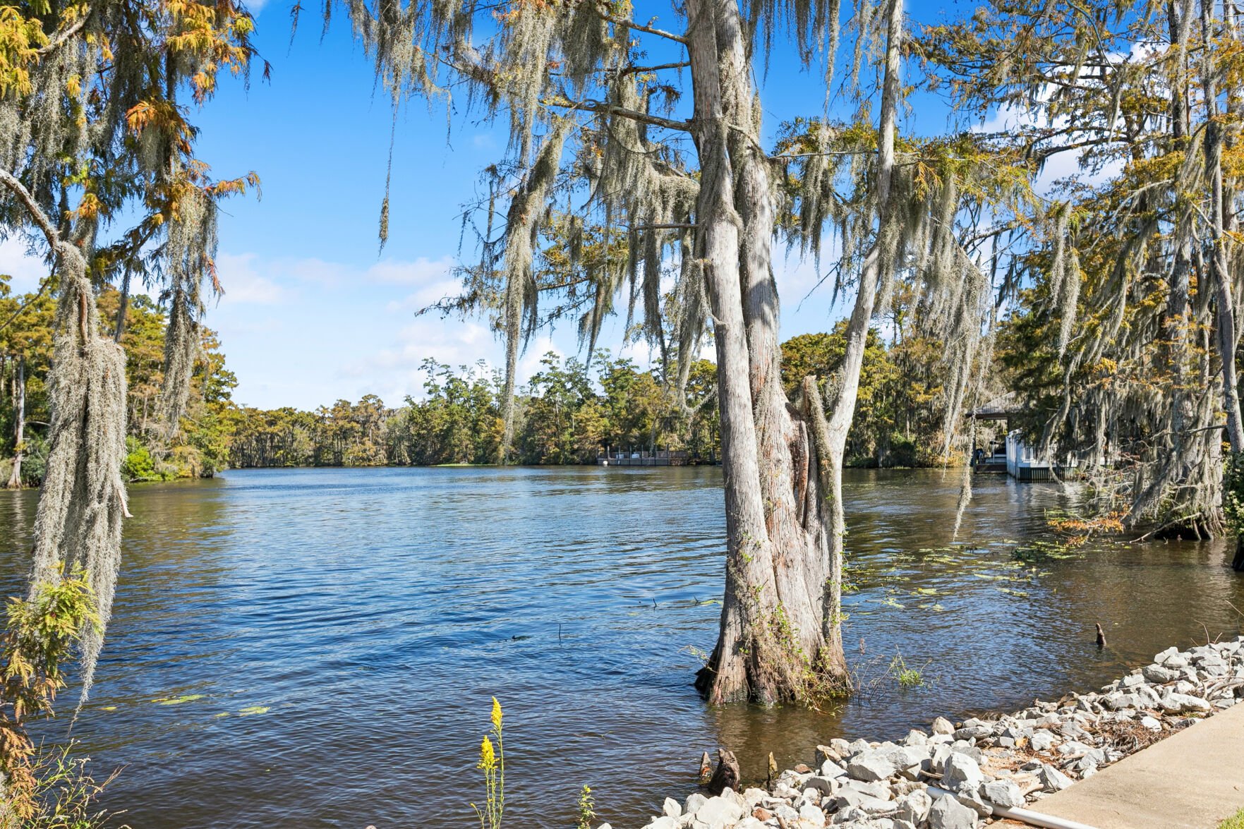 172.jpg | | nola.com