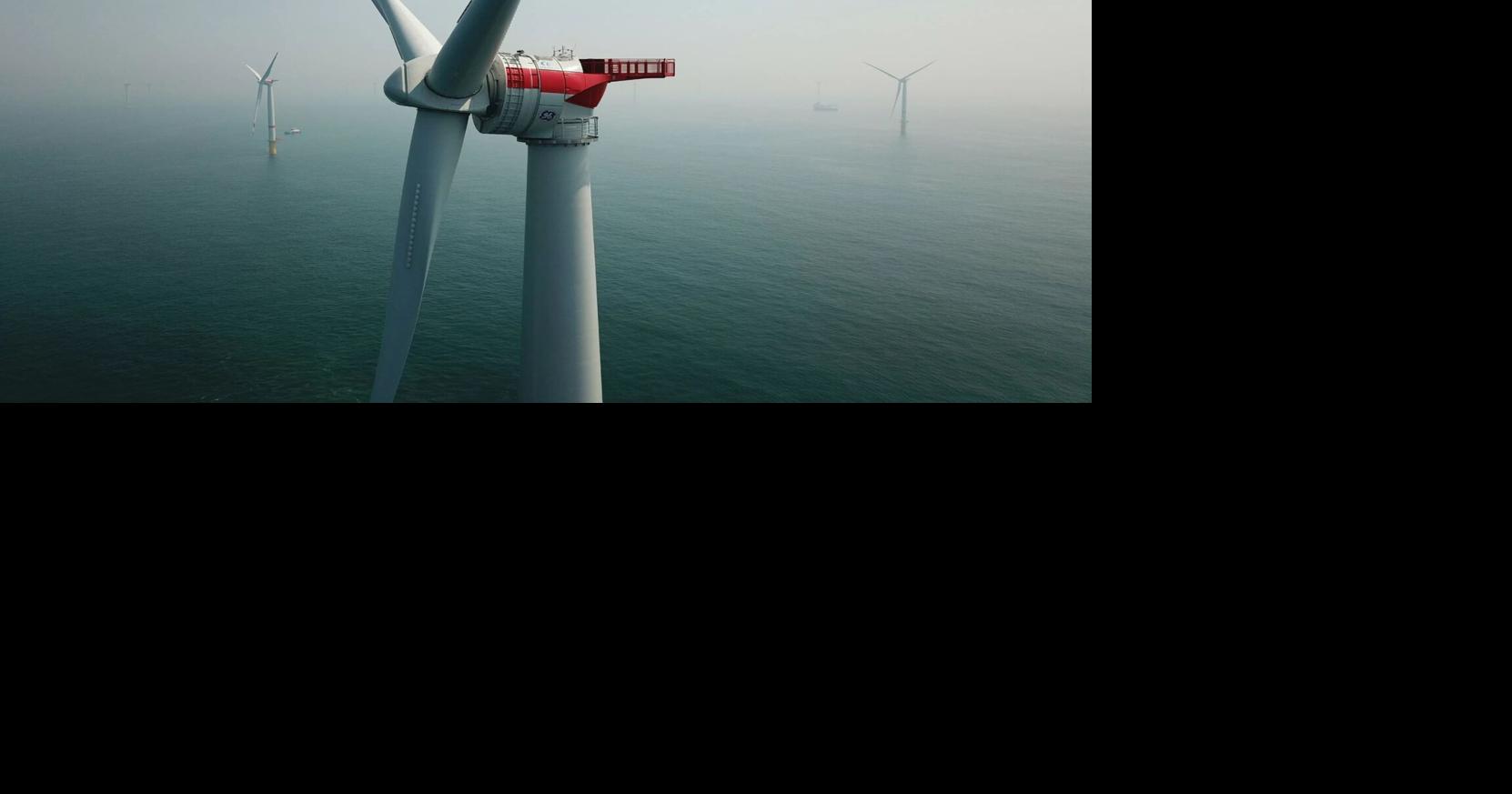 How will offshore wind energy affect marine life in the Gulf? Feds are ...