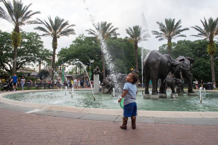 Photos: New wildlife statues make a splash at Audubon Zoo's watering ...