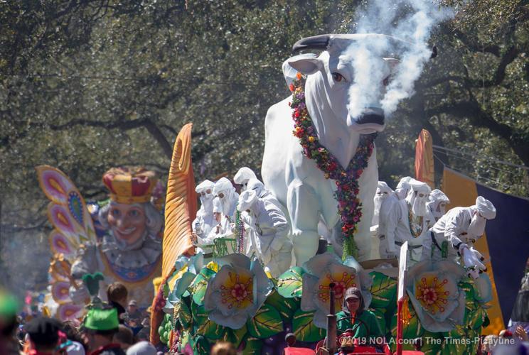 See photos from the 2019 Rex parade | News | nola.com