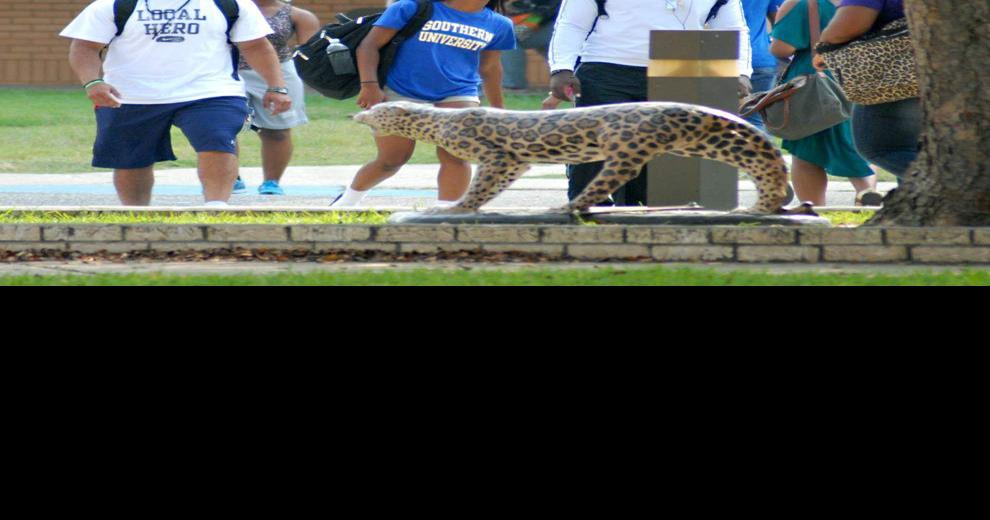 White, Asian, Hispanic students help boost enrollment at Louisiana’s ...