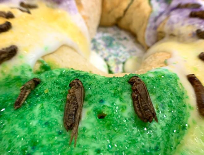 Thanks for the gross cricket king cake, Insectarium. See our review of ...