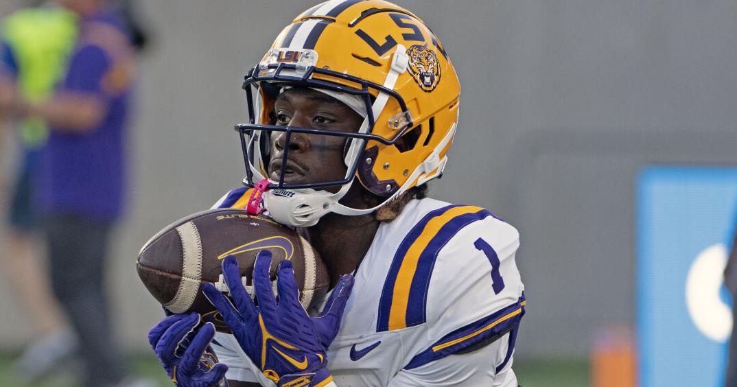 LSU receiver Aaron Anderson scores first college touchdown | LSU | nola.com