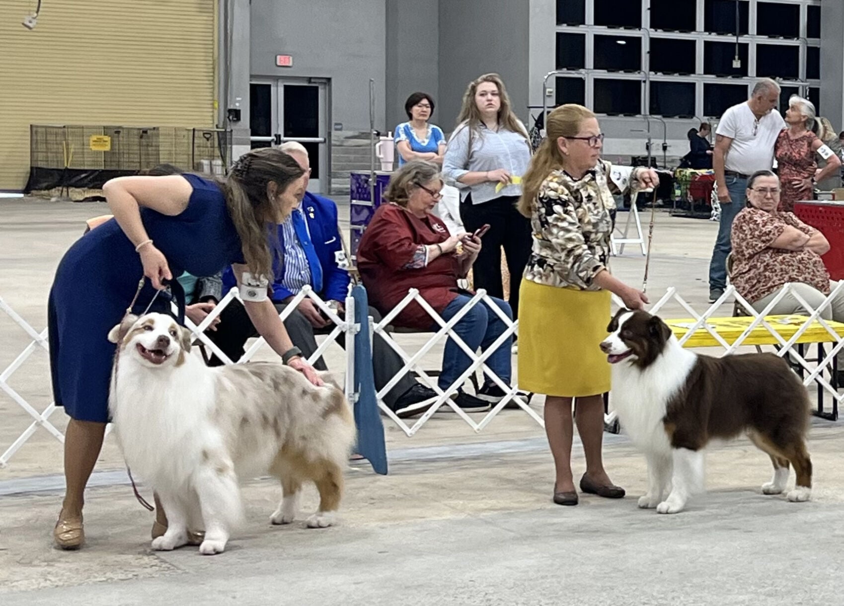 asc Cluster Dog Show #04.jpg | | nola.com
