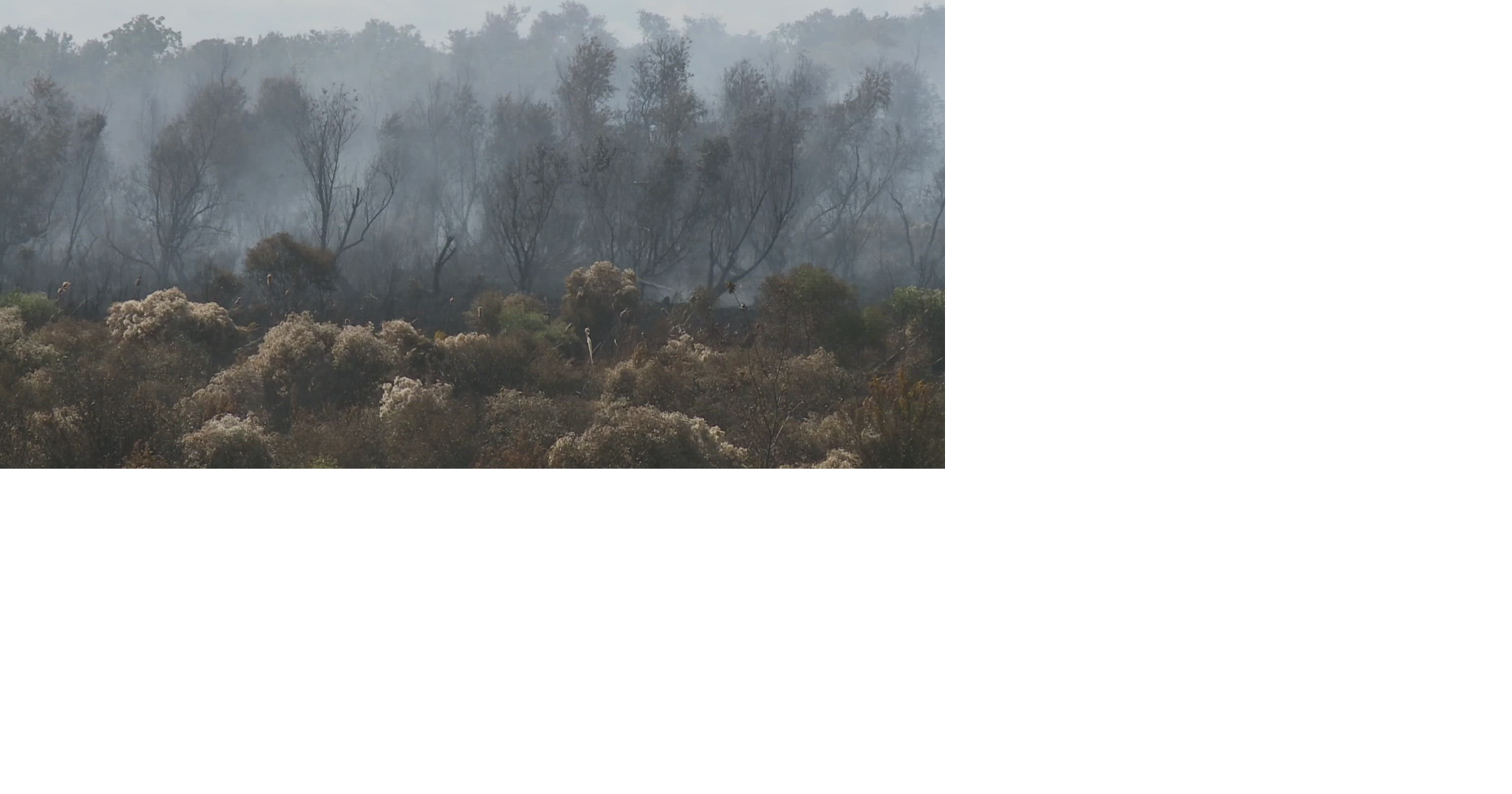Flooding and digging likely won't halt swamp fire smoke | Environment ...