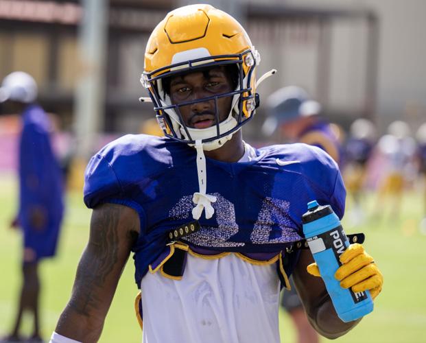 LSU, Florida State used the transfer portal to rebuild | LSU | nola.com