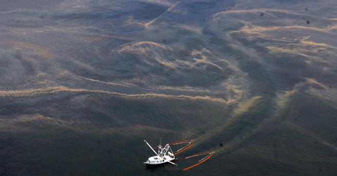 8 years after the BP Deepwater Horizon disaster: coastal roundup ...