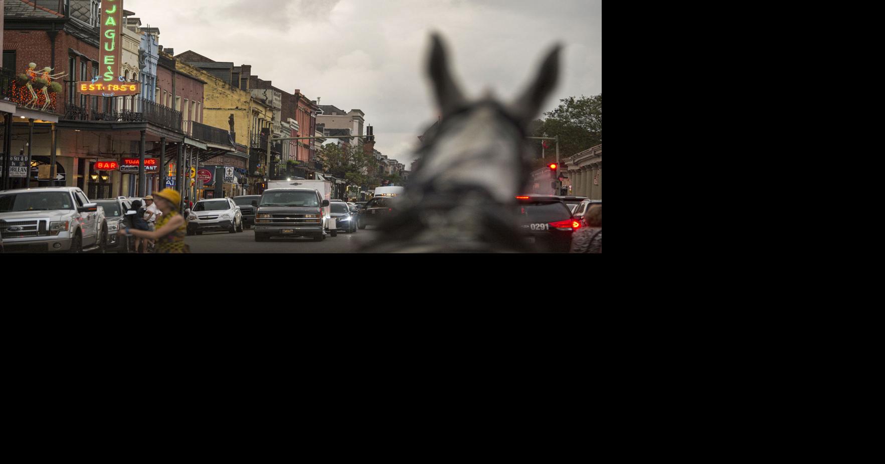 Historic signs in New Orleans could see changes | Business News | nola.com