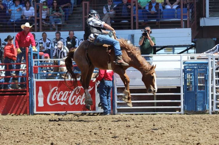 Angola Prison Rodeo, Treme Culture Fest, Satsuma Celebration and more ...