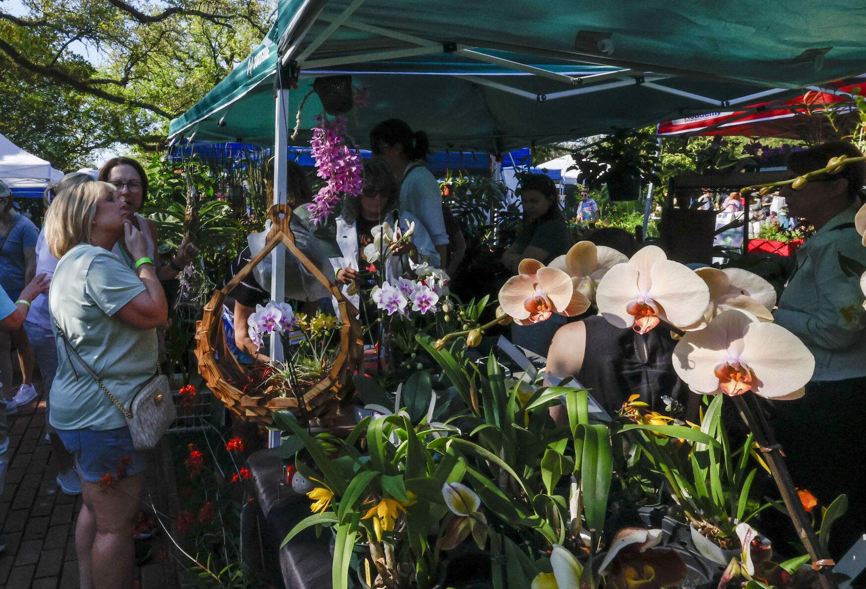 Spring Garden Show brings crowds to the Botanical Garden | Photos ...