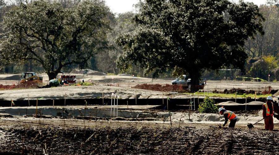 Concerned with vandalism, City Park’s board considers barricades around ...