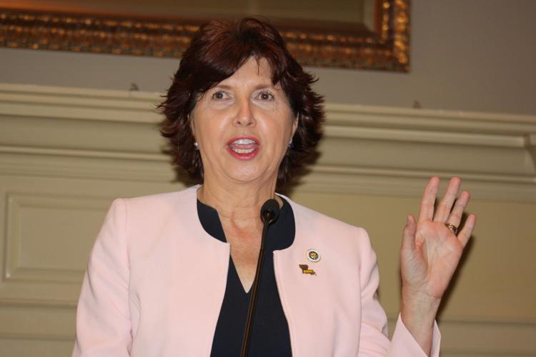 Area legislators discuss budget woes, pledge to fight for constituents ...