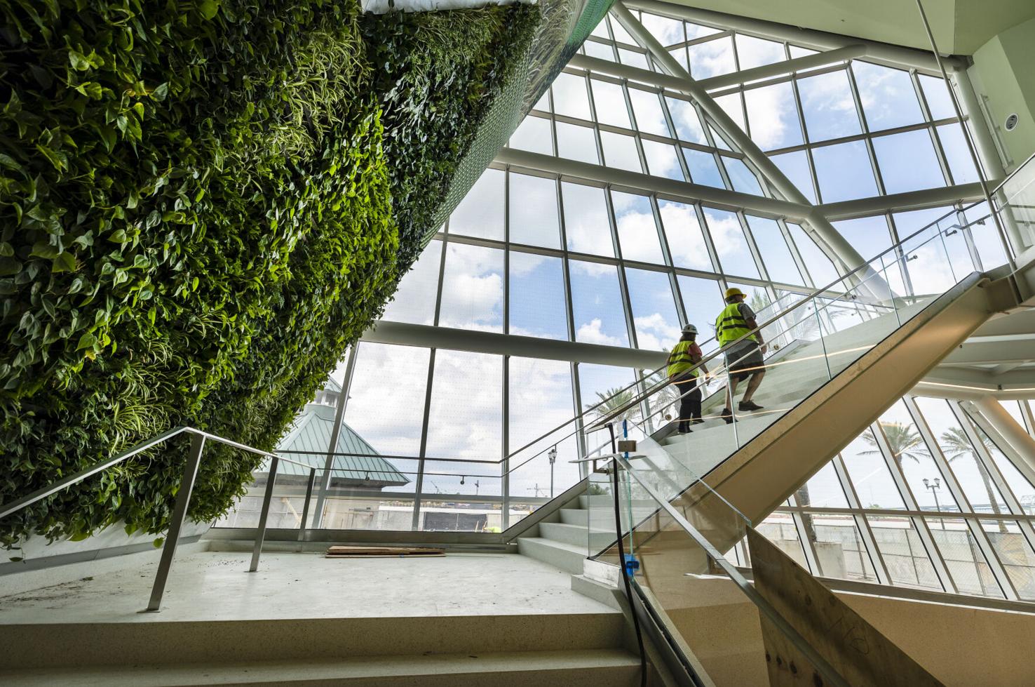 What to know before you go: Audubon Aquarium, Insectarium ...