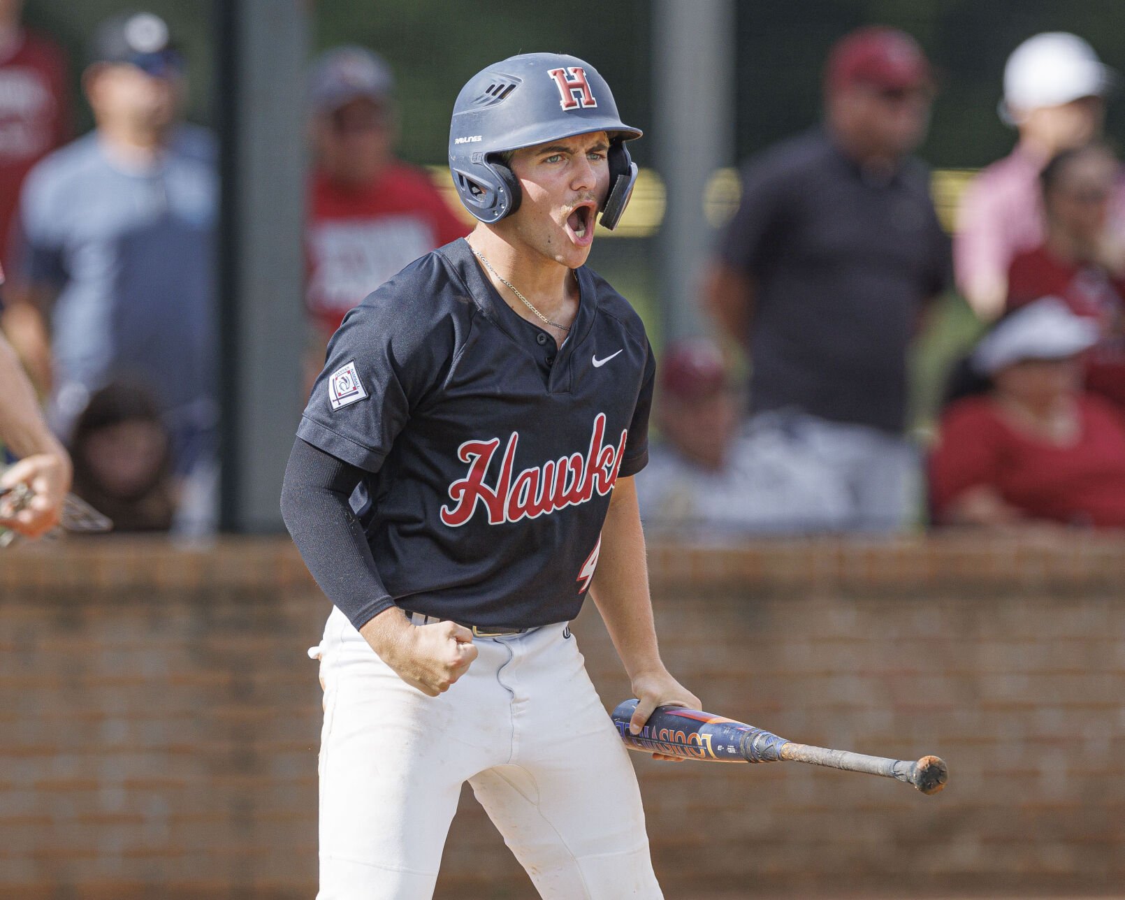 E.D. White rallies for 3-2 walk-off semifinal win at Hannan | St ...