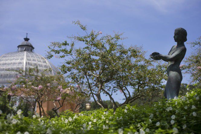 Get free trees at NOLA Tree Project giveaway: 12 gardening events not ...