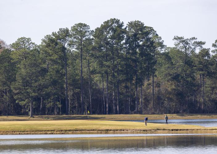 Money Hill eyes growth on thousands of northshore acres | One Tammany ...
