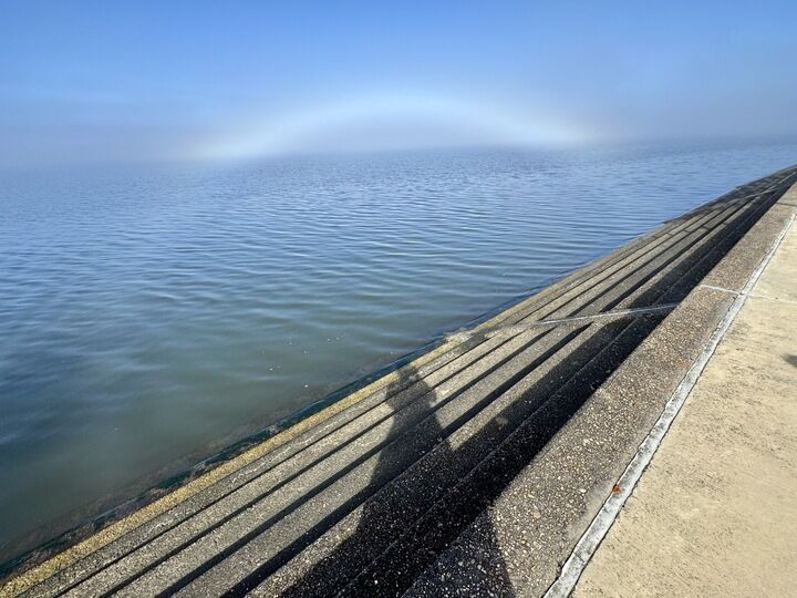 NO.whiterainbow.adv | | nola.com