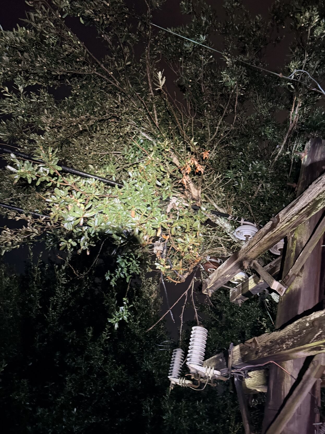 Bokep tante hijab ngentot