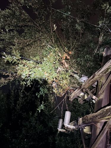 Bokep tante hijab ngentot